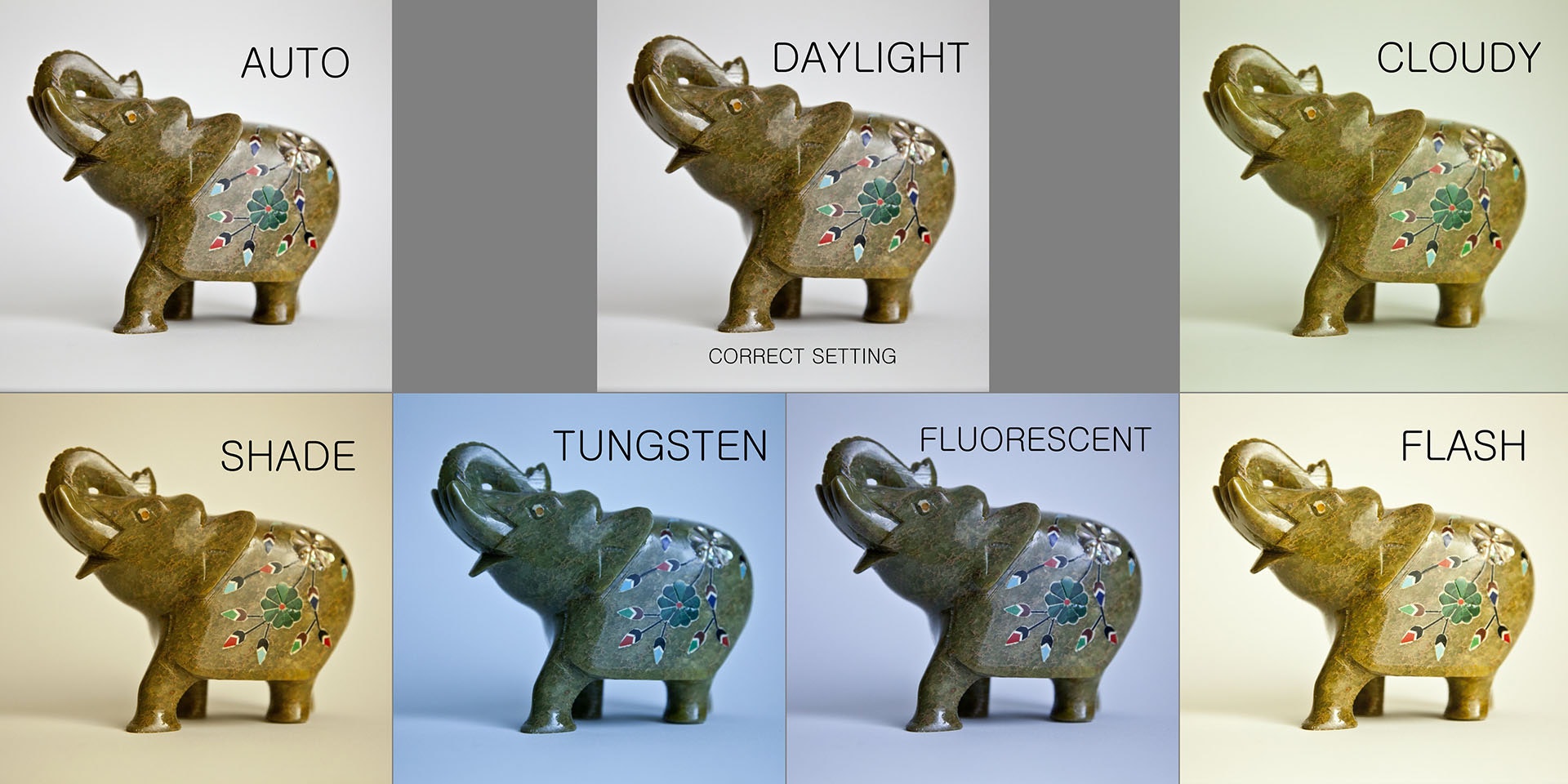 How to Use Grey Cards and White Balancing for Accurate Color